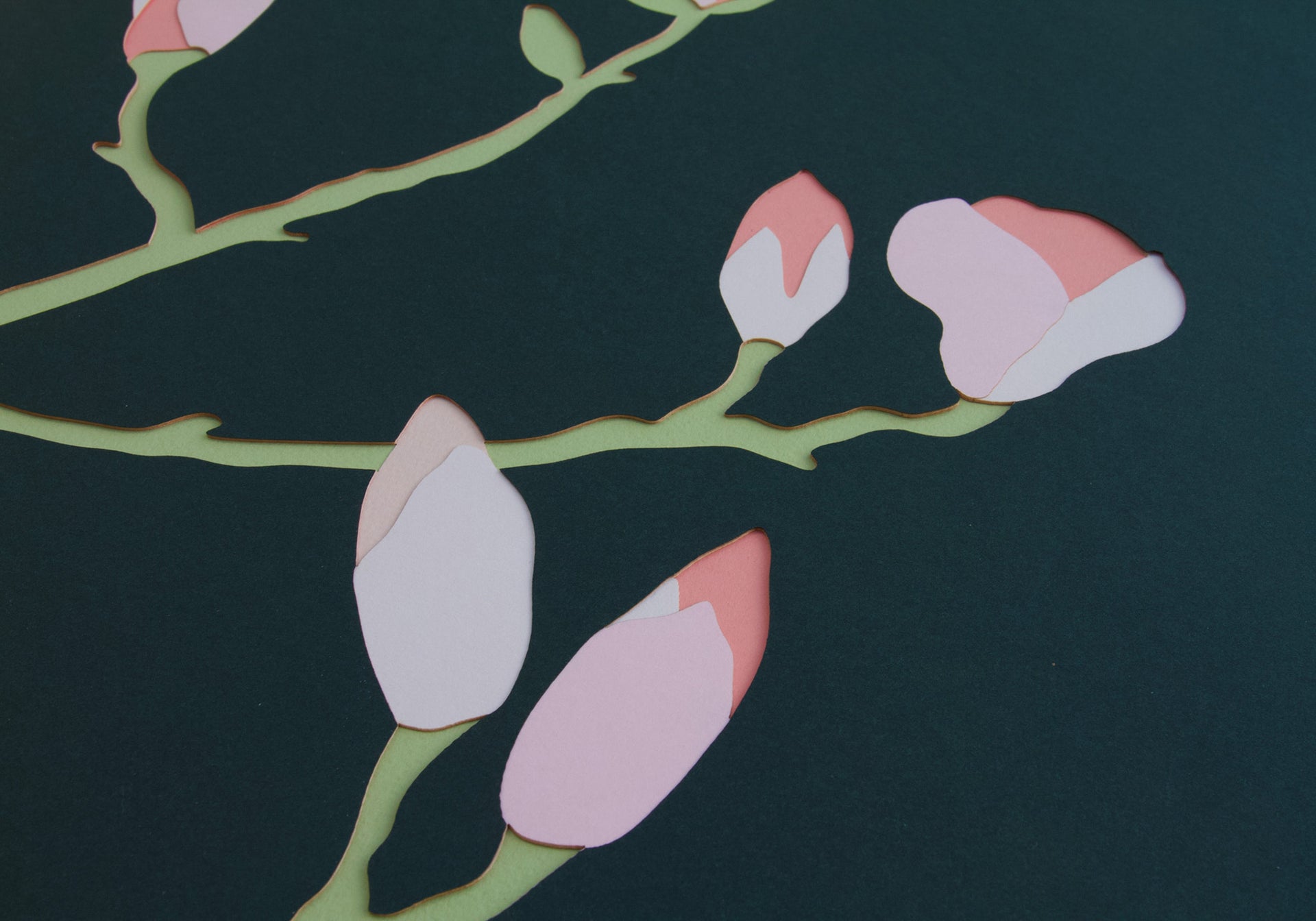 Molly M Designs | Laser Cut Art and Homewares | Berkeley